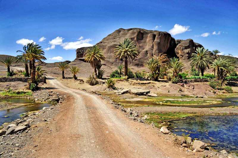 Oasis de Fint: Qué ver y hacer | Turismo Marruecos